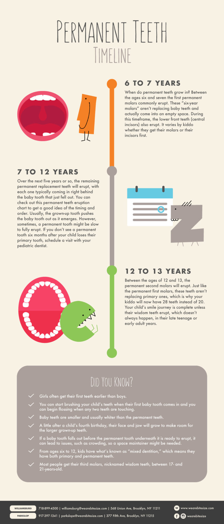 Your Child's Teeth Journey Timeline